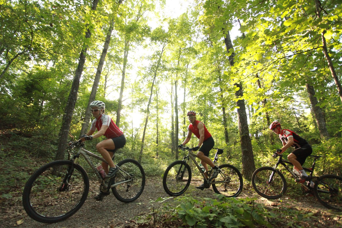 Bicycle Paths and Trails – Conway2035